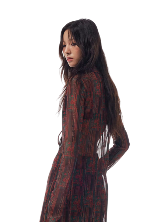 'Macabre' Lace Up Mesh Moon Dress | DYSTOPIɅN ™️ – DYSTOPIɅN